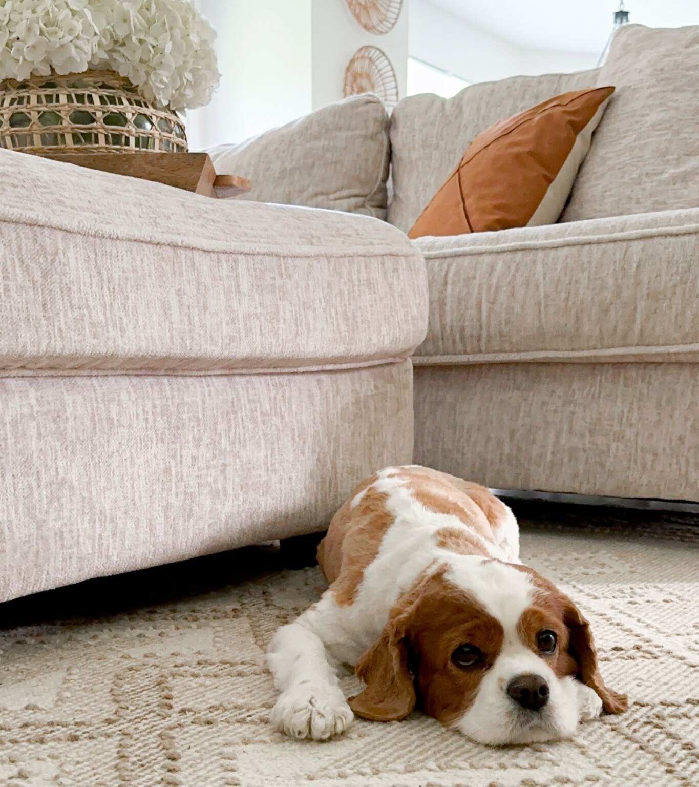 The Couch My Guests Won’t Stop Talking About - Home By Alley